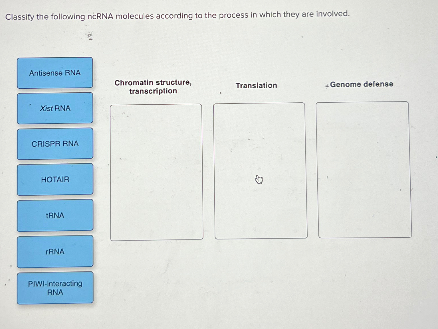 Solved Classify the following ncRNA molecules according to | Chegg.com