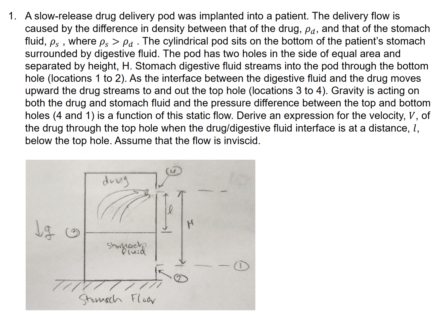 Solved 1. ﻿A slow-release drug delivery pod was implanted | Chegg.com