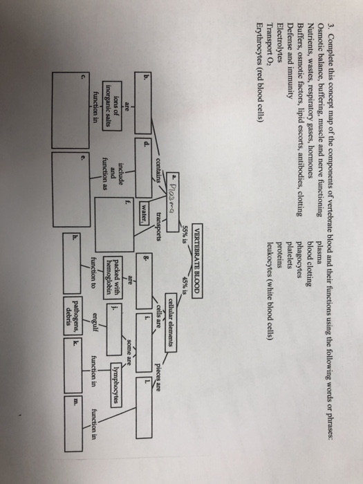 Solved 3. Complete this concept map of the components of | Chegg.com