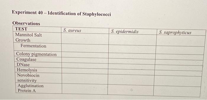 Solved Experiment 40 - Identification of Staphylococci S. | Chegg.com