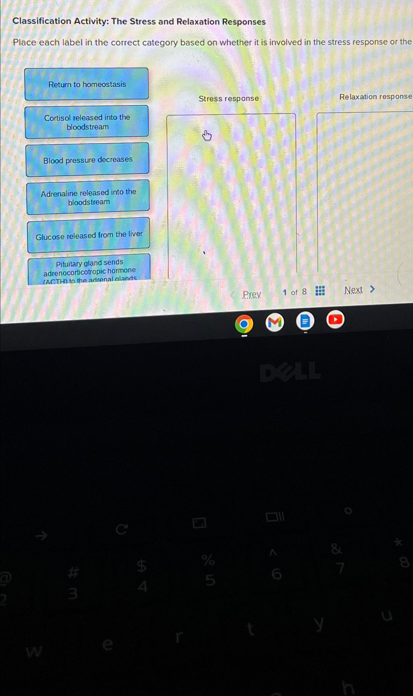 Solved Classification Activity: The Stress and Relaxation | Chegg.com