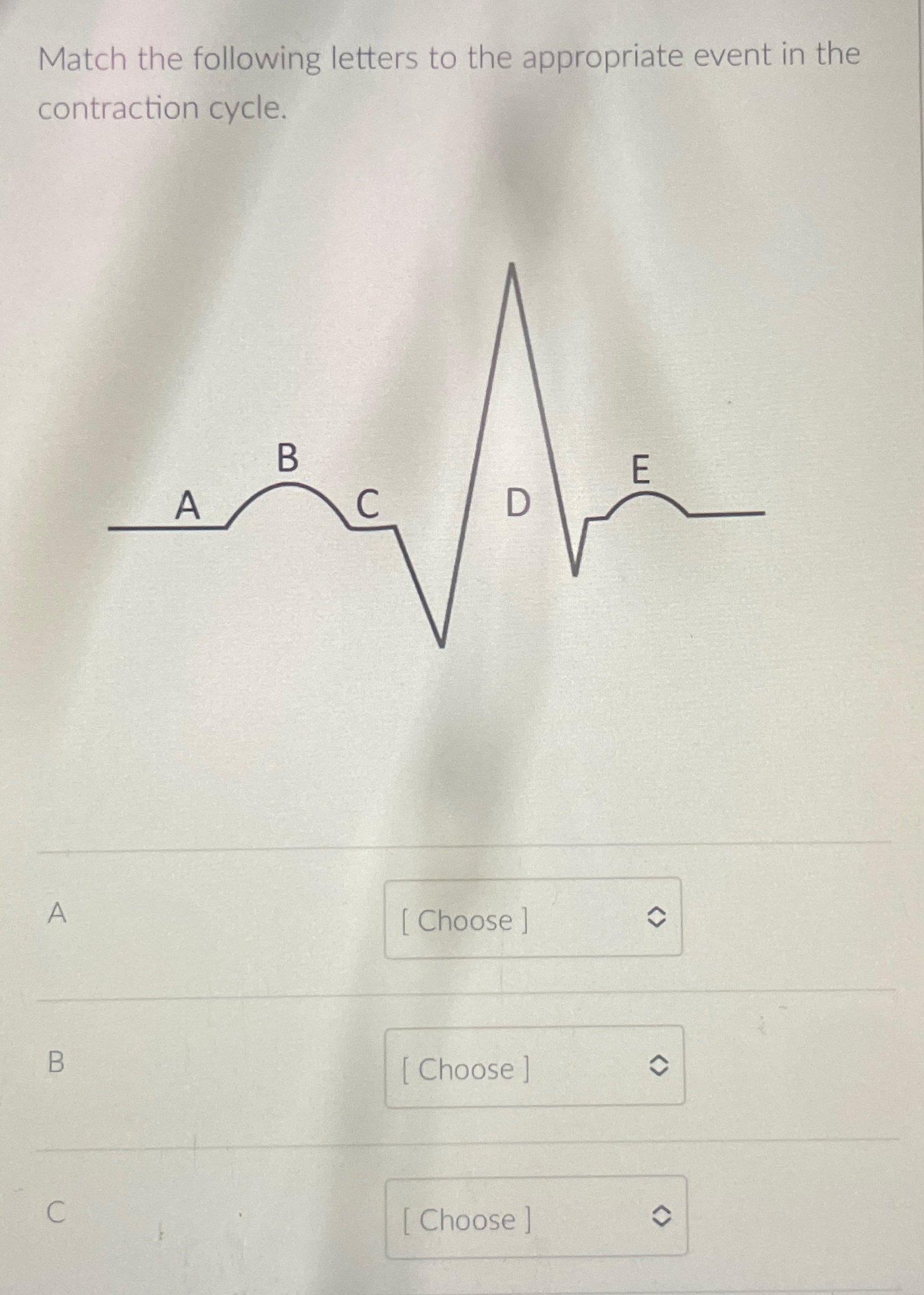 Solved Match the following letters to the appropriate event | Chegg.com