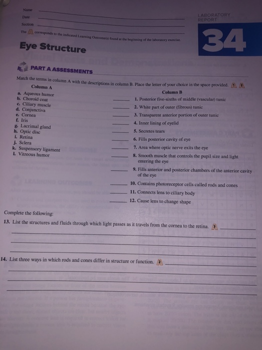 Solved Dane Section LABORATORY REPORT The A corresponds to | Chegg.com