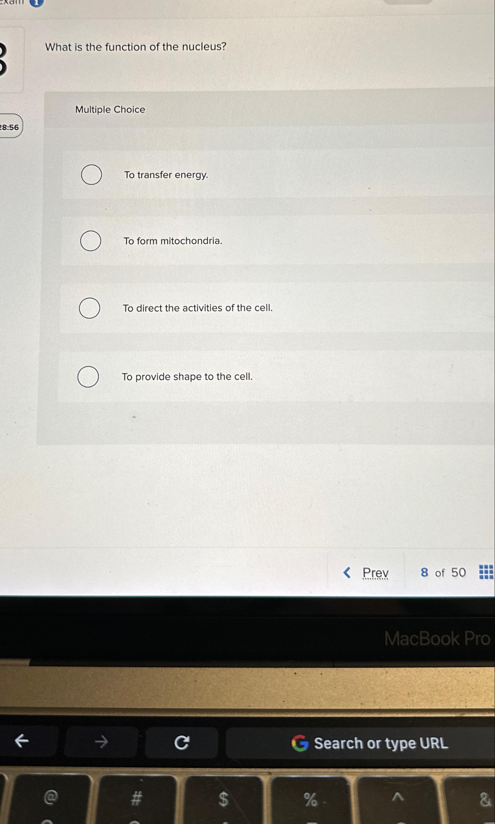 Solved What is the function of the nucleus?Multiple ChoiceTo | Chegg.com