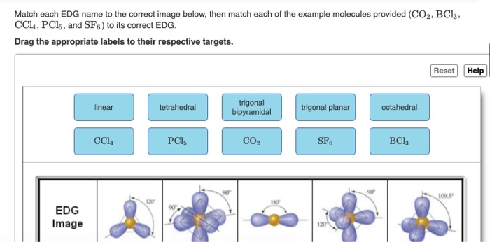 Solved Match each EDG name to the correct image below, then | Chegg.com