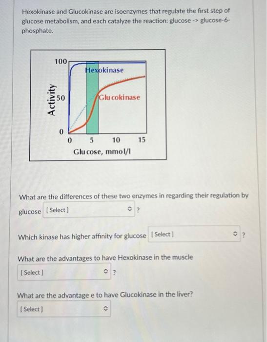 Solved Hexokinase and Glucokinase are isoenzymes that | Chegg.com