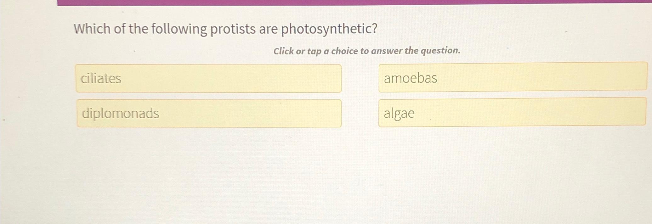 Solved Which of the following protists are | Chegg.com