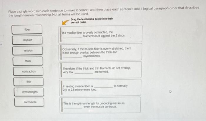 Solved Place a single word into each sentence to make it | Chegg.com