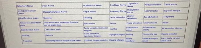 Solved how can i make a concept map using these words | Chegg.com