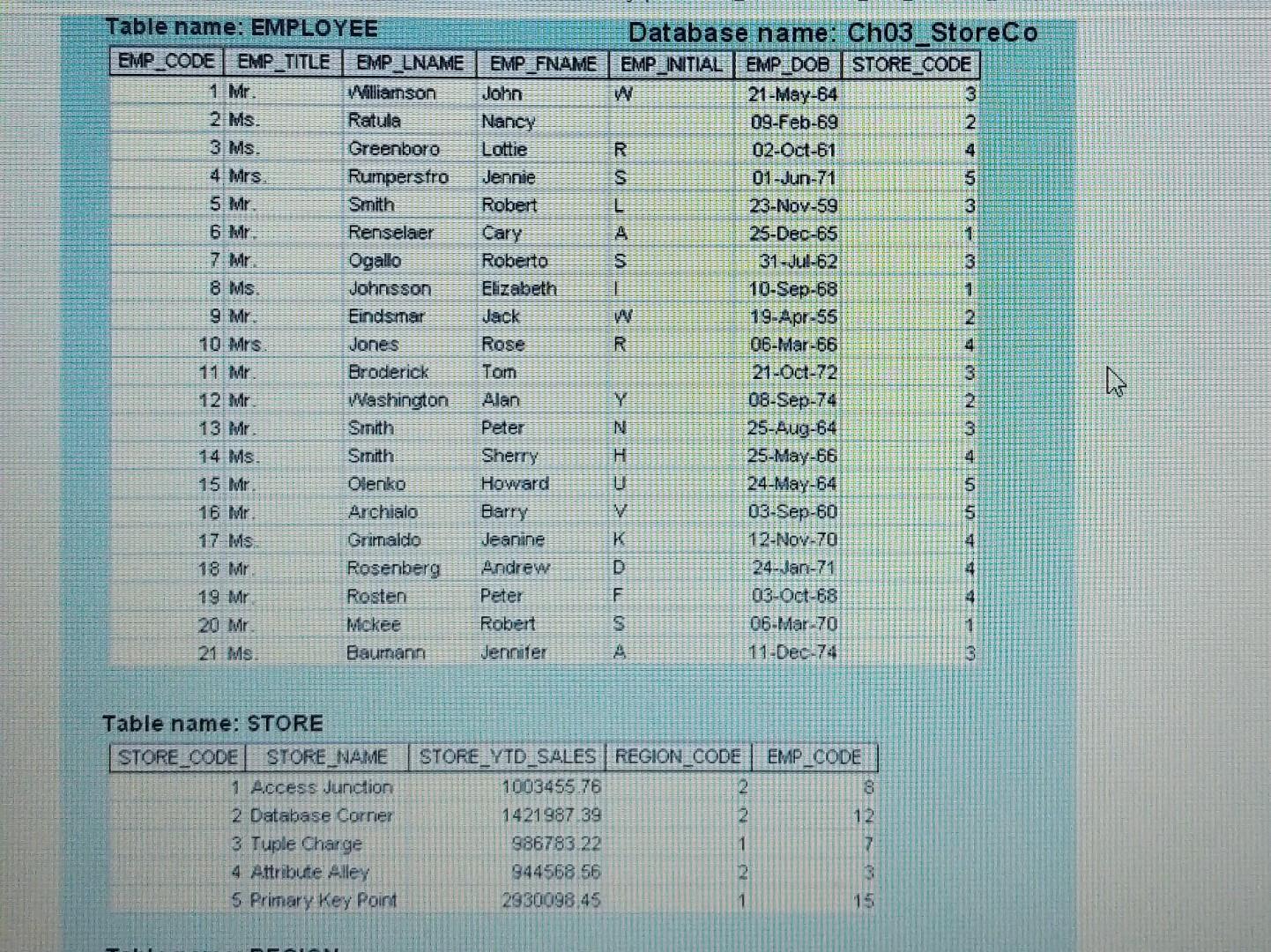 Table name: EMPLOYEE Database name: Ch03_StoreCo | Chegg.com
