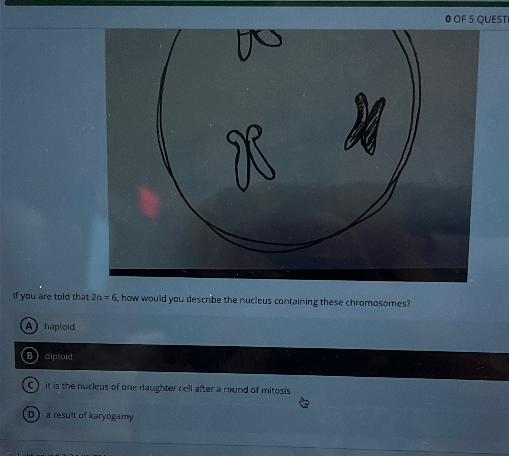Solved O OF 5 ﻿QUESTIf you are told that 2n=6, ﻿how would | Chegg.com