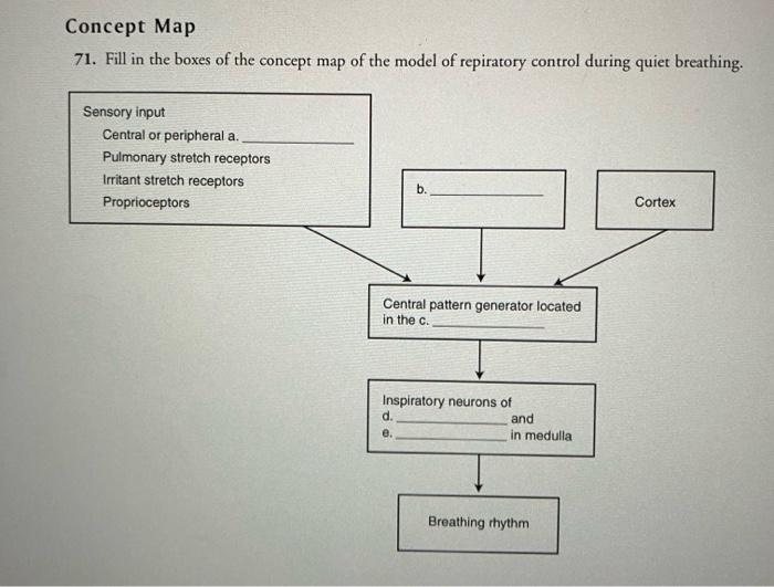 Solved Concept Map 71. Fill in the boxes of the concept map | Chegg.com