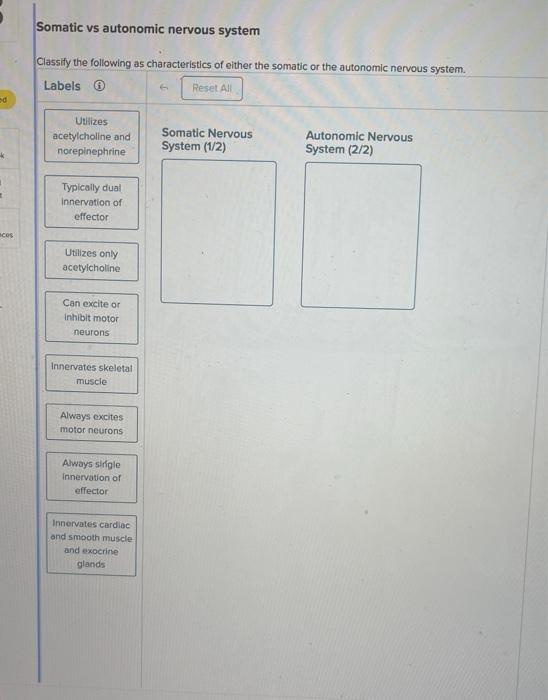 Solved Somatic vs autonomic nervous system Classify the | Chegg.com