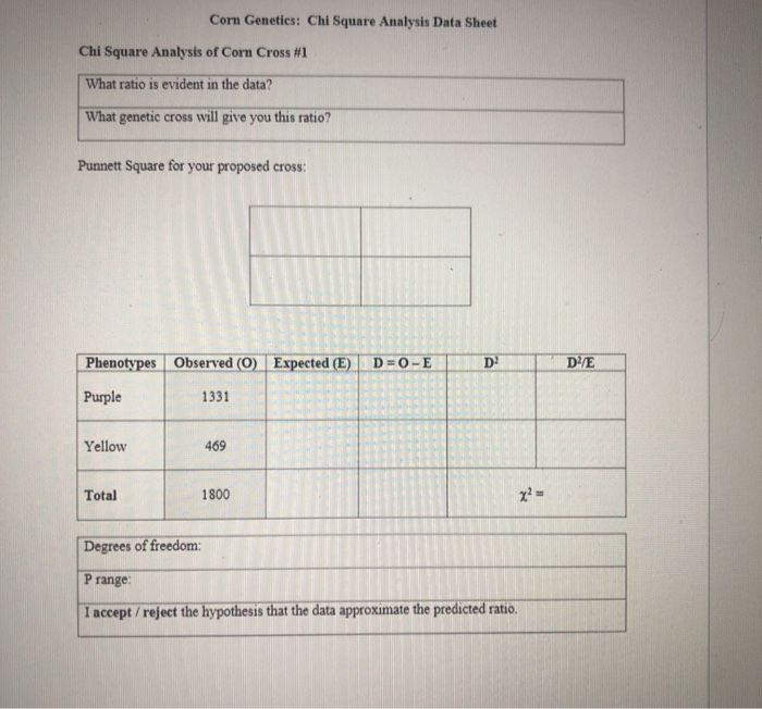 Solved Corn Genetics: Chi Square Analysis Data Sheet Chi | Chegg.com