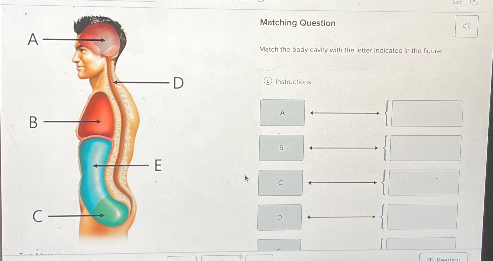 Solved Matching Question(1)Match the body cavity with the | Chegg.com
