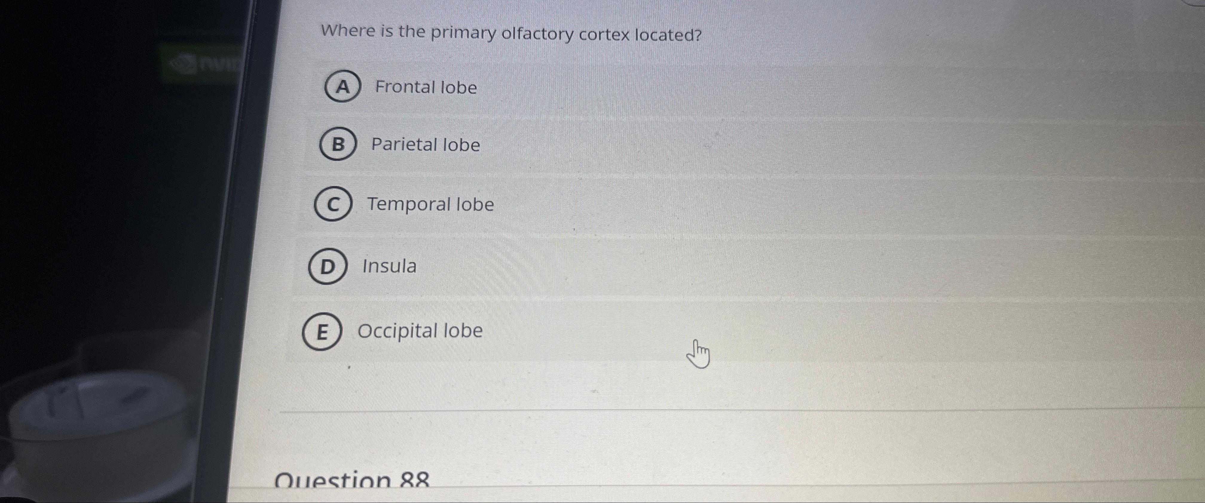 Solved Where is the primary olfactory cortex located?Frontal | Chegg.com