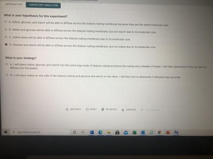 Solved INTRODUCTION LABORATORY SIMULATION What is your | Chegg.com