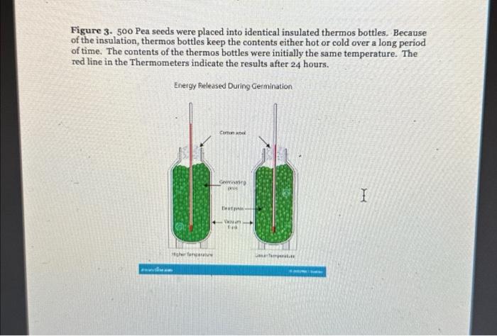 Solved 1. In Lab, you used inverted nested test tubes for | Chegg.com