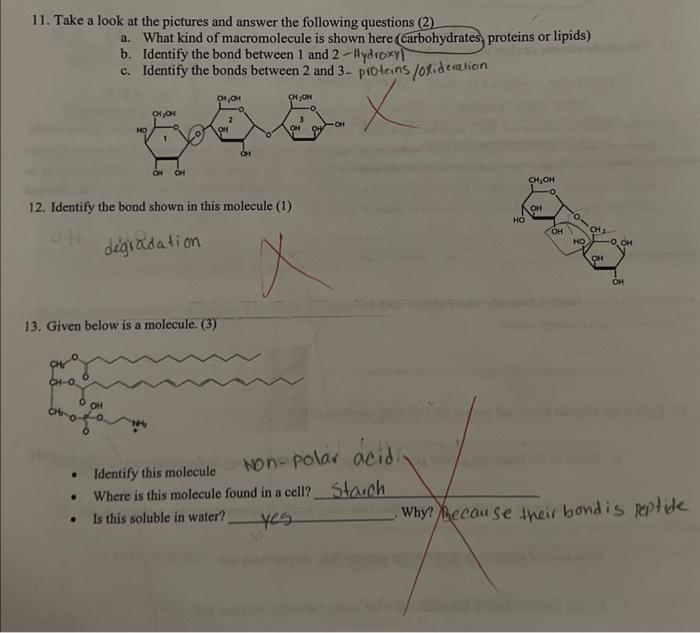 Solved can someone solve those three questions for me please | Chegg.com