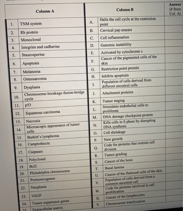 Solved Column A Column B Answer (# from Col. A 1. 2. 3. 4. | Chegg.com