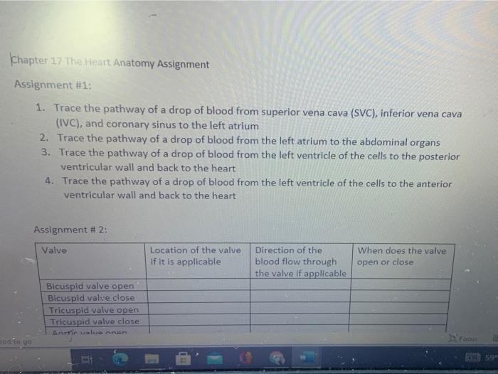 Solved Chapter 17 The Heart Anatomy Assignment Assignment | Chegg.com