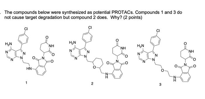 Solved The compounds below were synthesized as potential | Chegg.com