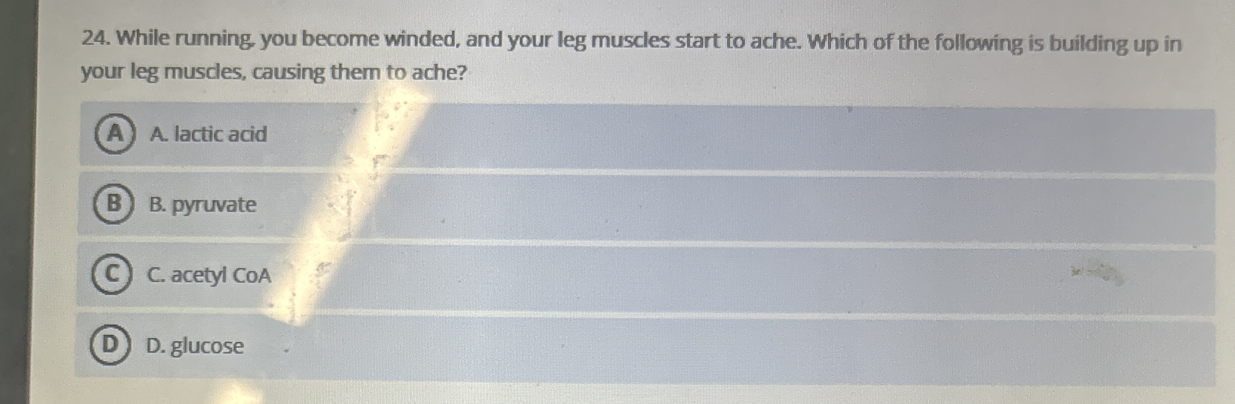 Solved While running you become winded, and your leg muscles | Chegg.com
