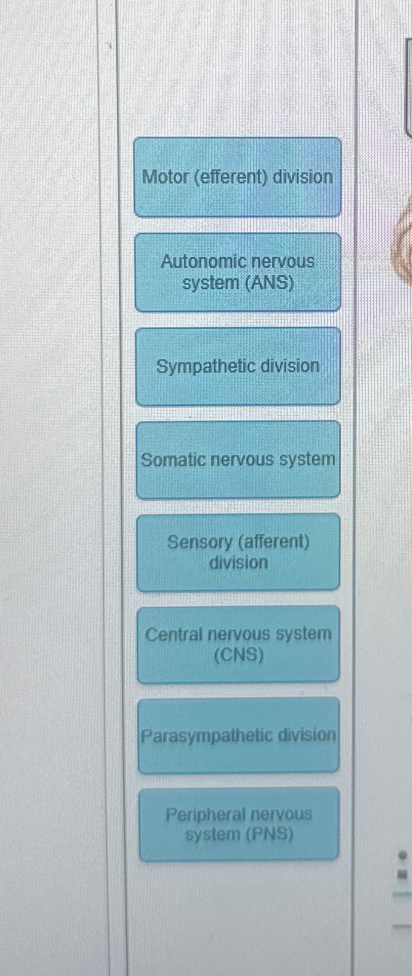 Solved Central nervous system (CNS)Parasympathetic | Chegg.com