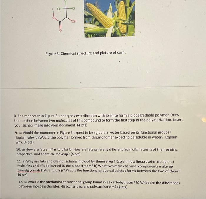 Solved H3C CH3 CH3 Figure 1: Chemical structure and picture | Chegg.com