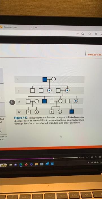 Solved Genetics Xlinked disorders what is the genotype of | Chegg.com