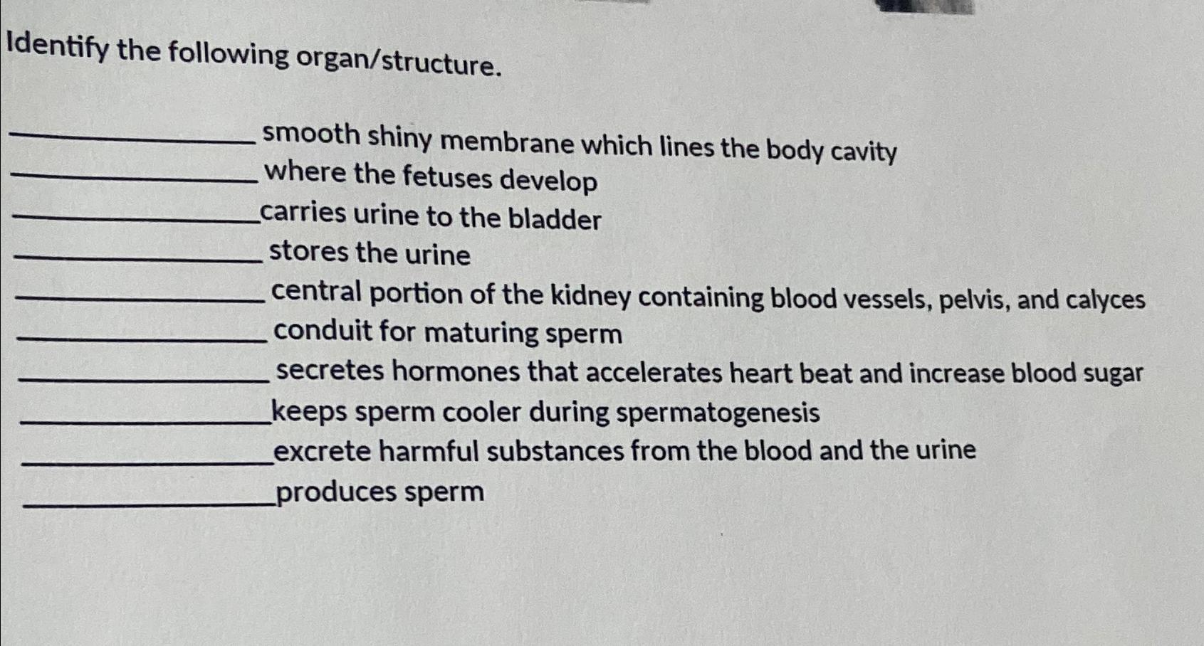 Solved Identify the following organ/structure.smooth shiny | Chegg.com