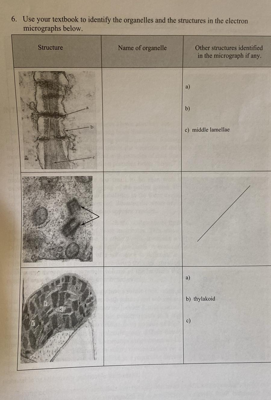 Solved Use your textbook to identify the organelles and the | Chegg.com