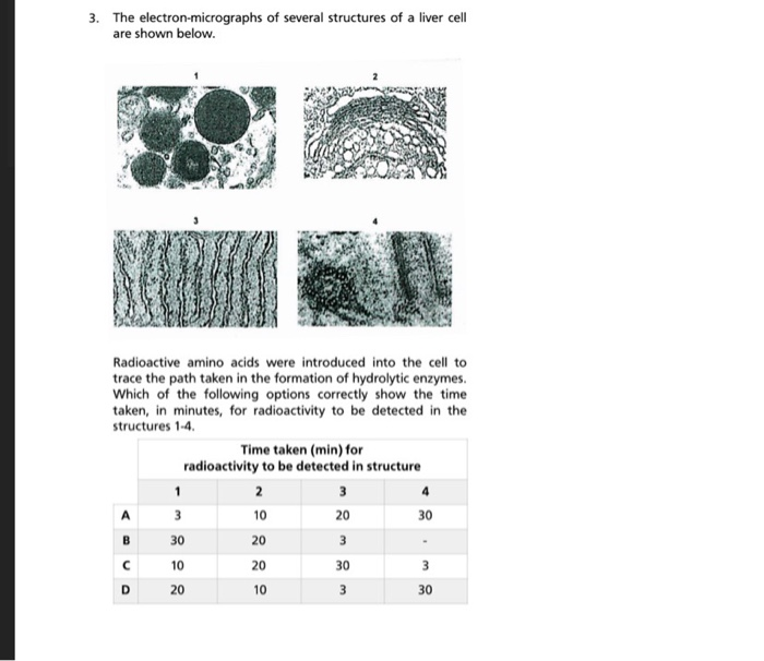 3. The electron micrographs of several structures of | Chegg.com