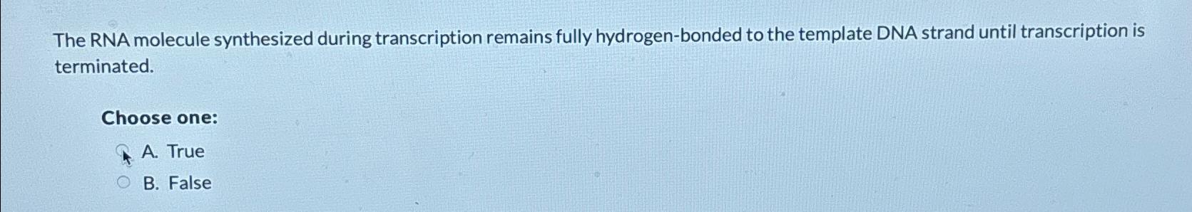 Solved The RNA molecule synthesized during transcription | Chegg.com