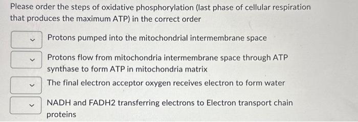Solved Please order the steps of oxidative phosphorylation | Chegg.com