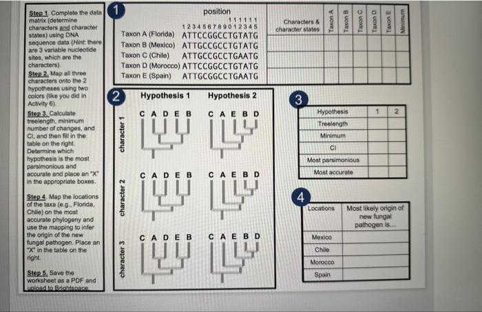 characters and character states) using ONA sequence | Chegg.com