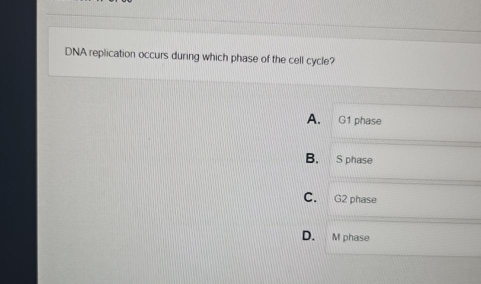 Solved DNA replication occurs during which phase of the cell | Chegg.com
