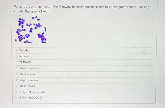 Solved What is the arrangement of the following bacterial | Chegg.com