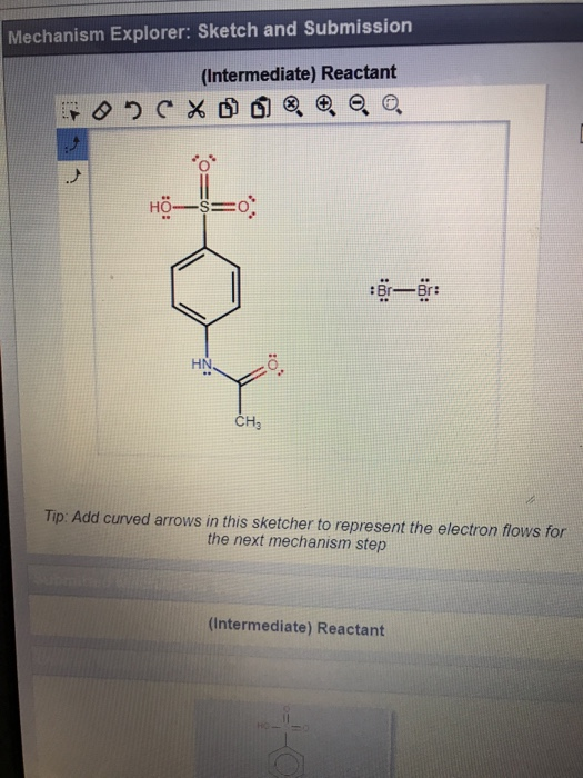Solved (Intermediate) Reactant CH Tip: Only add curved | Chegg.com