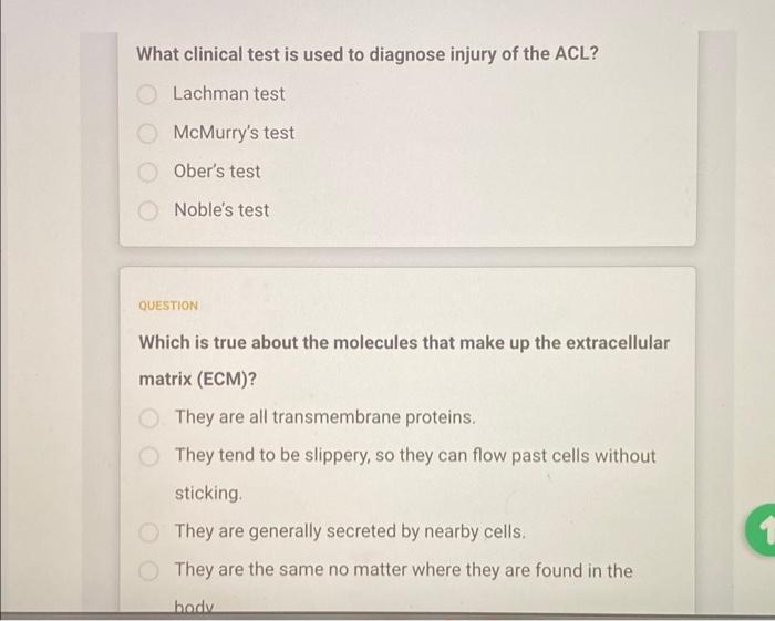 Solved QUESTION How is a rat ACL ruptured in this video? O | Chegg.com