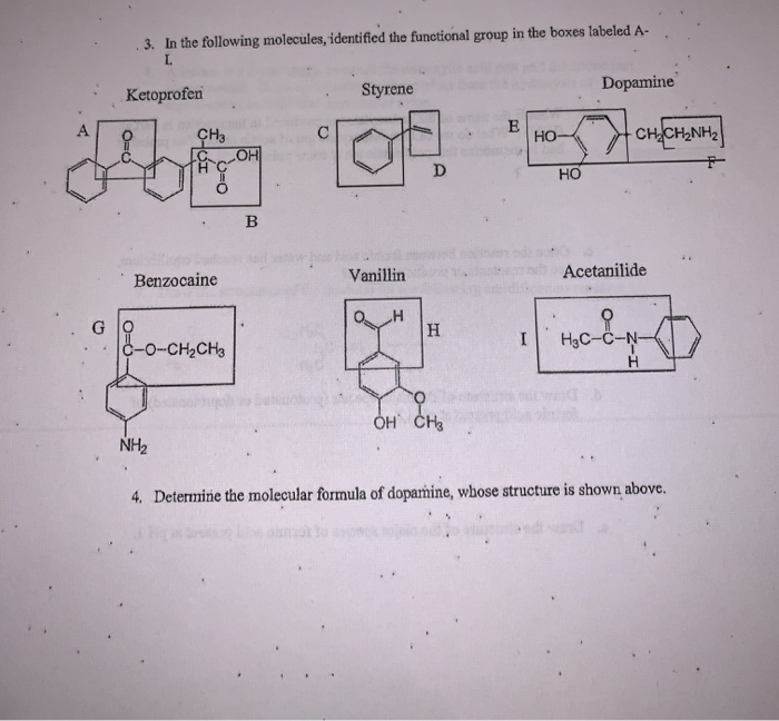 Solved . 13. In the following molecules, identified the | Chegg.com