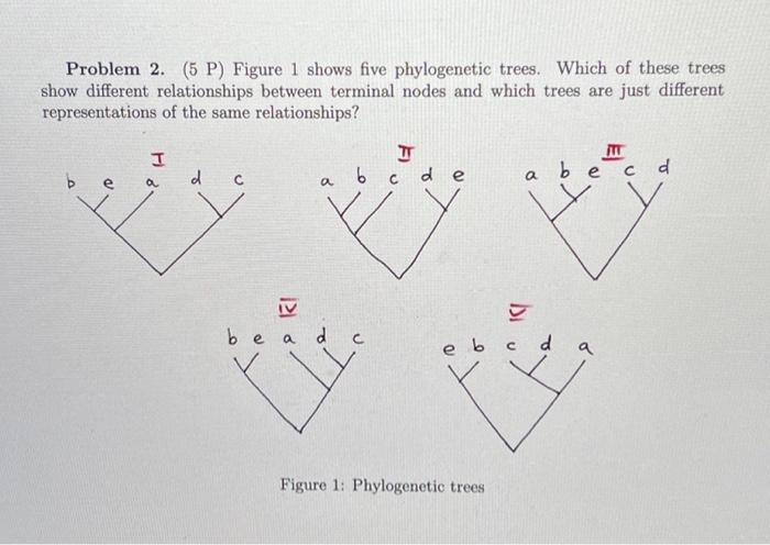Solved Problem 2. (5 P) Figure 1 shows five phylogenetic | Chegg.com