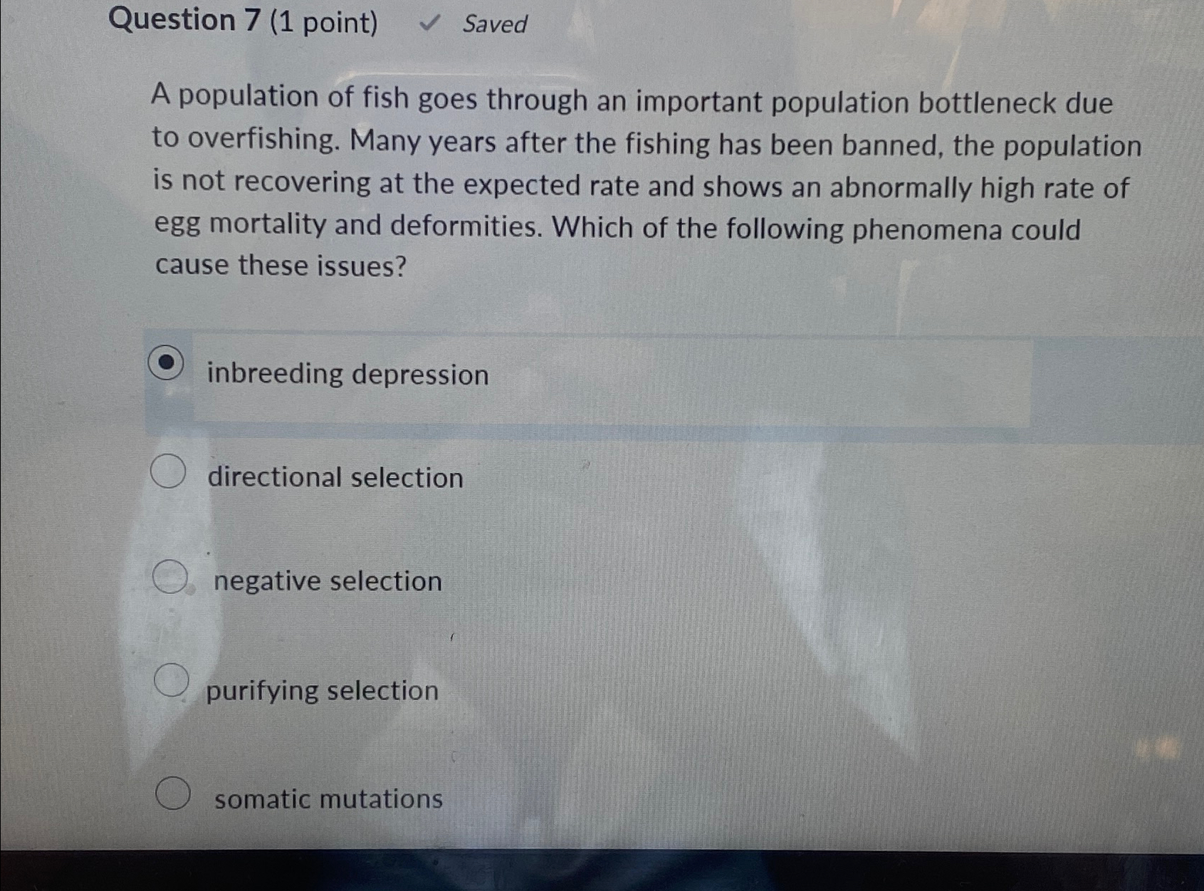 Solved Question 7 (1 ﻿point) ﻿SavedA population of fish | Chegg.com