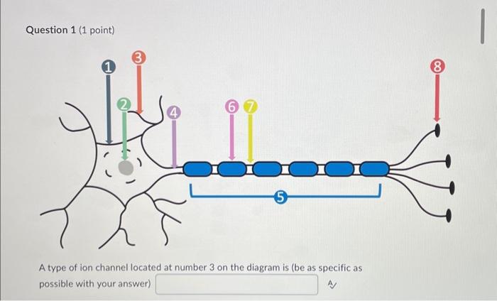 Solved Question 1 (1 point) | Chegg.com