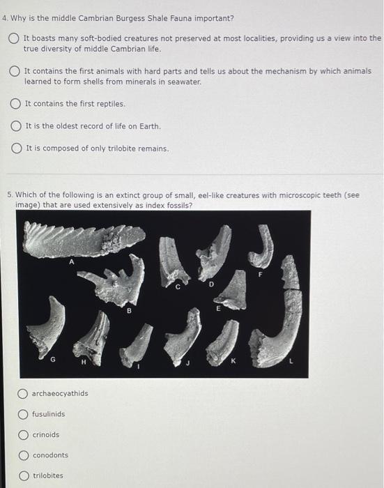 Solved 4. Why is the middle Cambrian Burgess Shale Fauna | Chegg.com