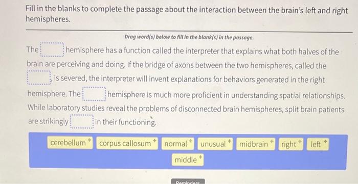 Solved Fill in the blanks to complete the passage about the | Chegg.com