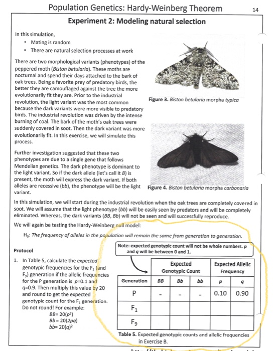 Solved Population Genetics: Hardy-Weinberg Theorem 14 | Chegg.com