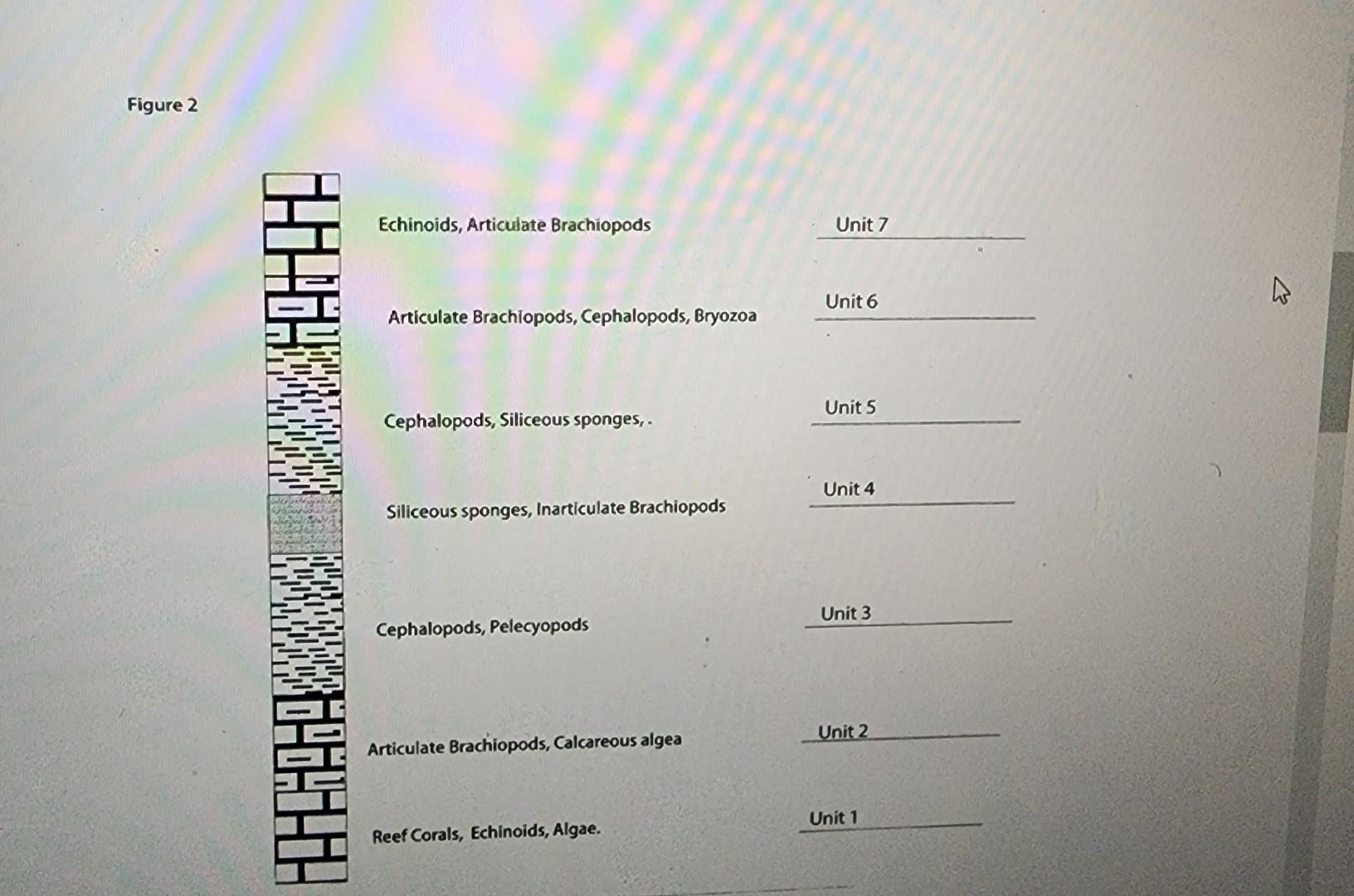 Solved aleoecologyUsing Figure 1, ﻿determine the likely | Chegg.com