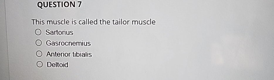 Solved QUESTION 7This muscle is called the tailor | Chegg.com