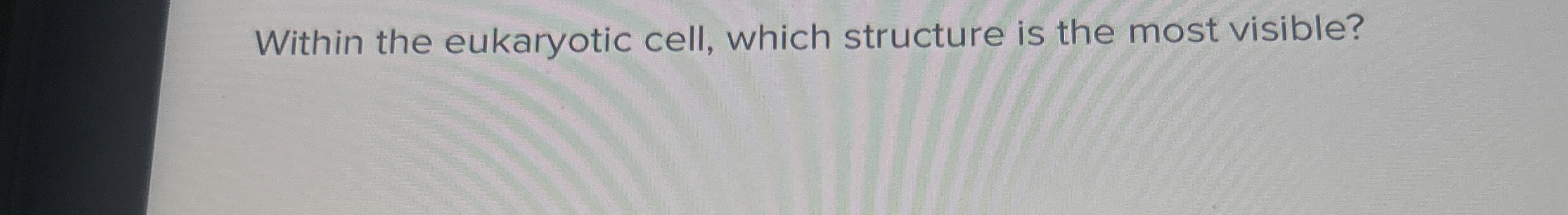 Solved Within the eukaryotic cell, which structure is the | Chegg.com